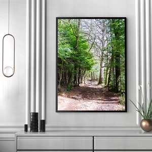 Forest Pathway Through Trees Nature Art Print, Wall Art! Instant ...