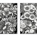Flowers 20 Grayscale Coloring Pages Instant Digital Download - Etsy