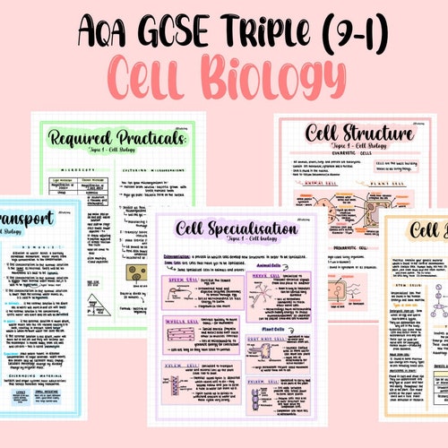 Biology AQA GCSE Cell Biology Revision Notes - Etsy UK