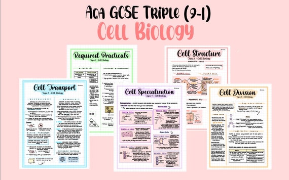 Biology AQA GCSE Cell Biology Revision Notes - Etsy UK
