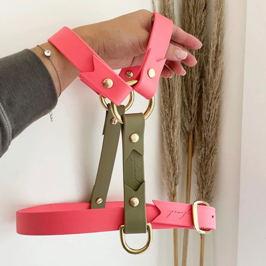 Biothane Dog Harness - Etsy