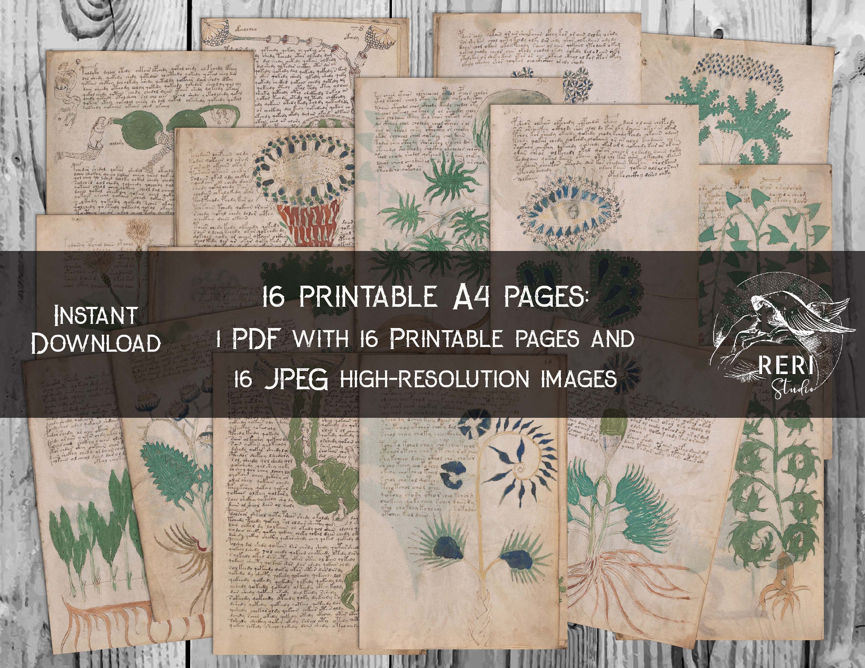 Voynich Manuscript Pdf High Resolution