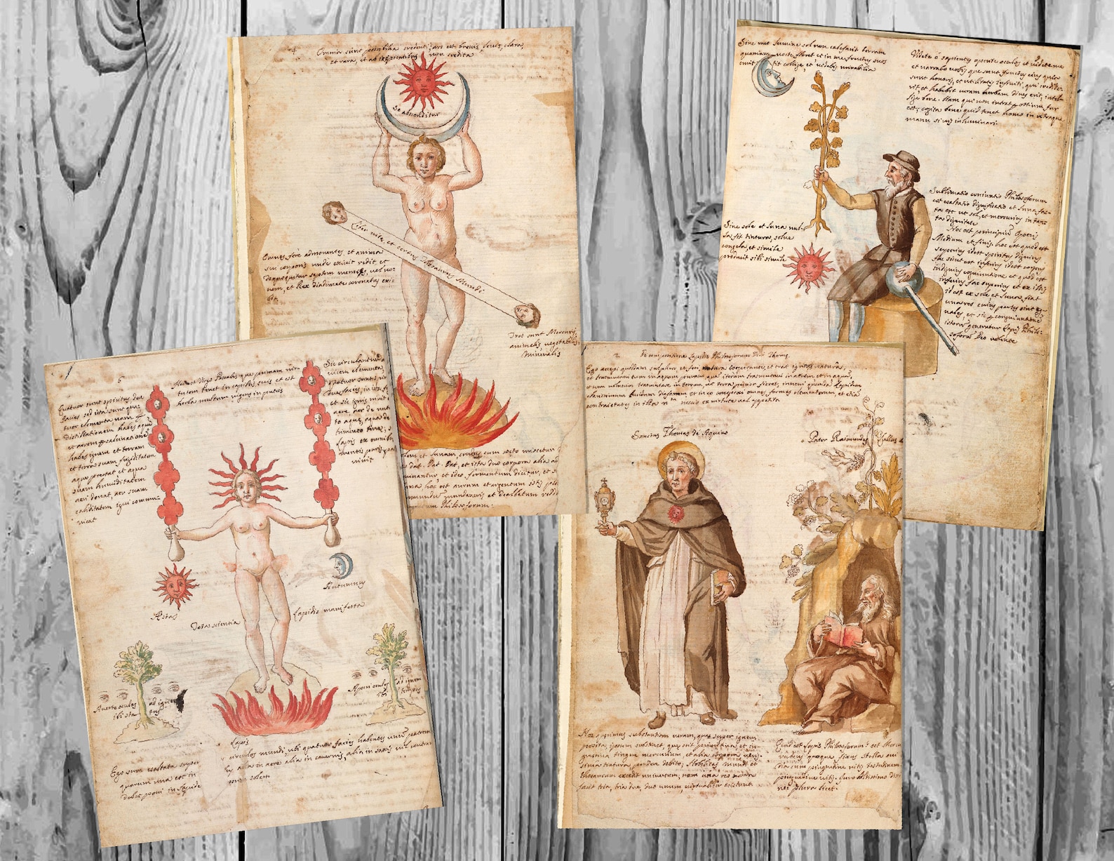 Rare Alchemical Manuscripts Pages SET 2 Printable Alchemy Junk - Etsy