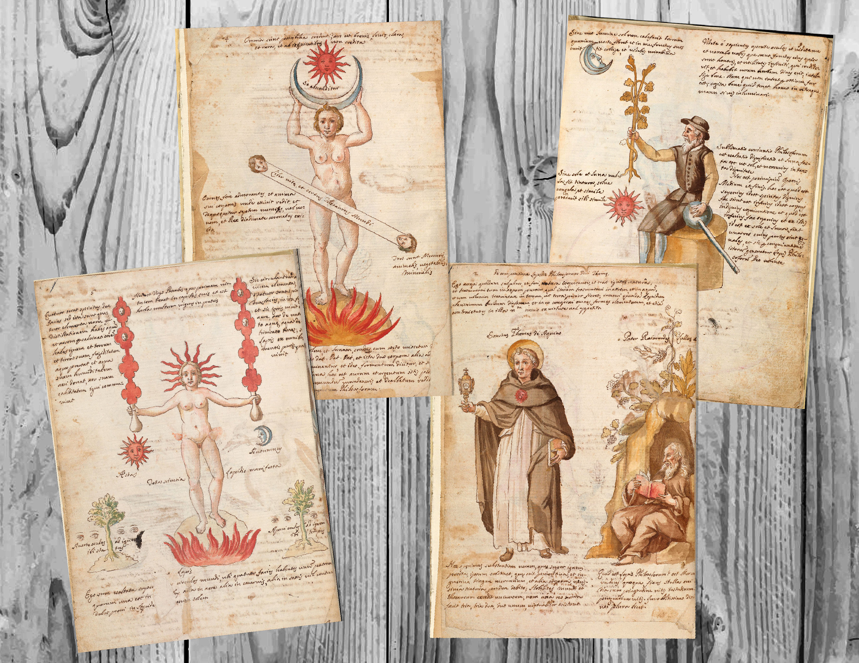 Rare Alchemical Manuscripts Pages SET 2 Printable Alchemy Junk - Etsy
