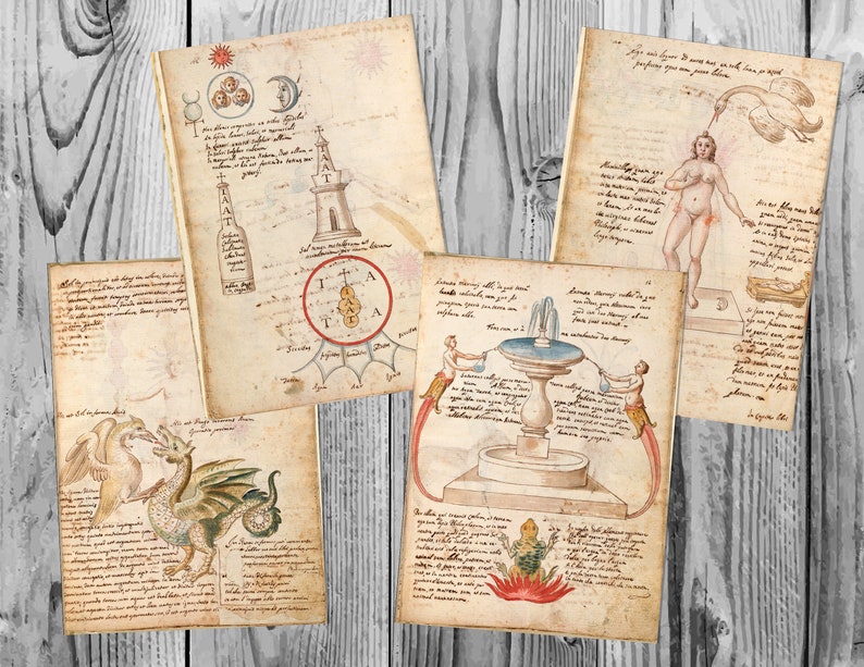 Rare Alchemical Manuscripts Pages SET 2 Printable Alchemy Junk - Etsy