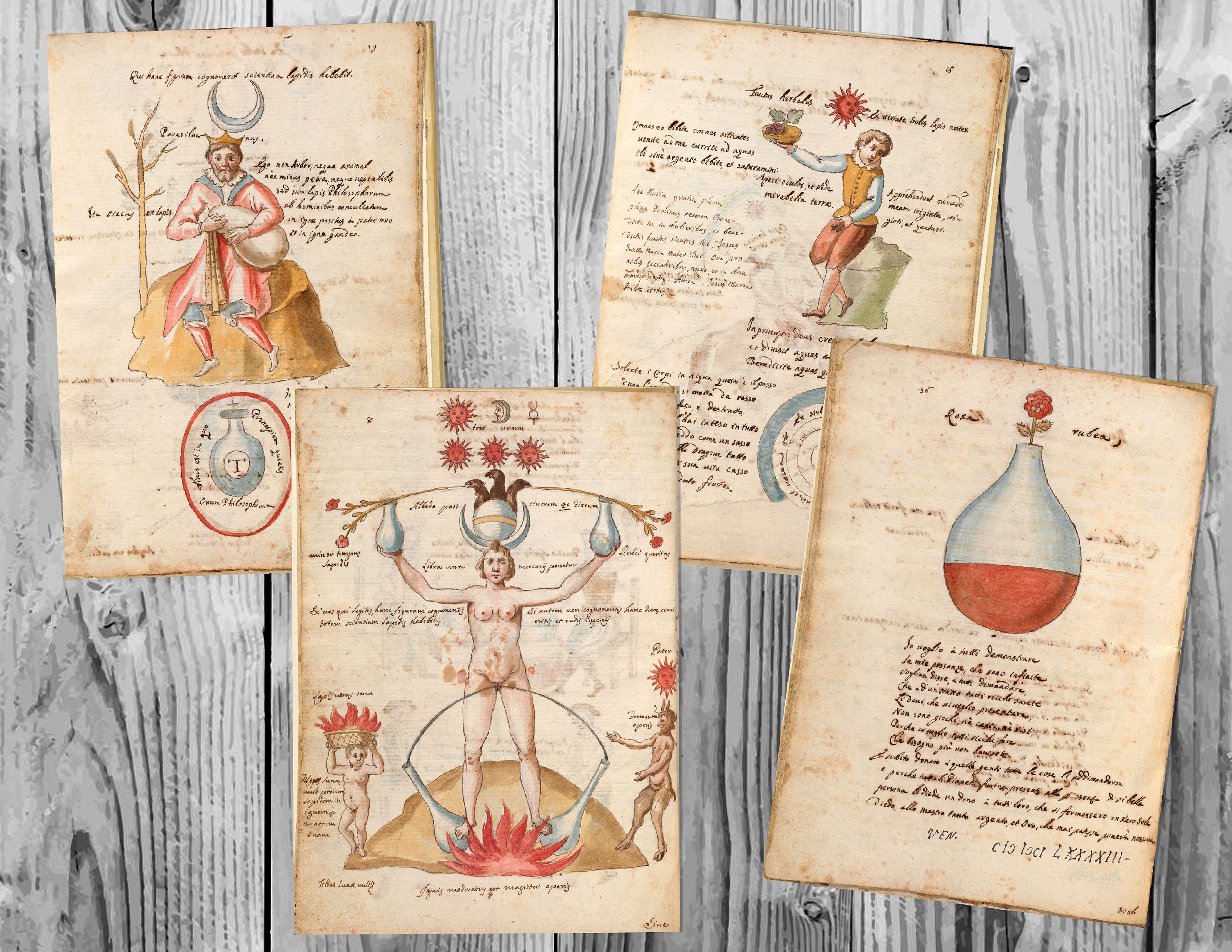 Rare Alchemical Manuscripts Pages SET 2 Printable Alchemy Junk - Etsy