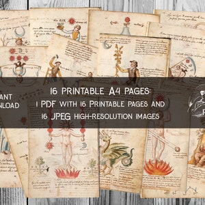Rare Alchemical Manuscripts Pages SET 2 Printable Alchemy Junk Journal ...