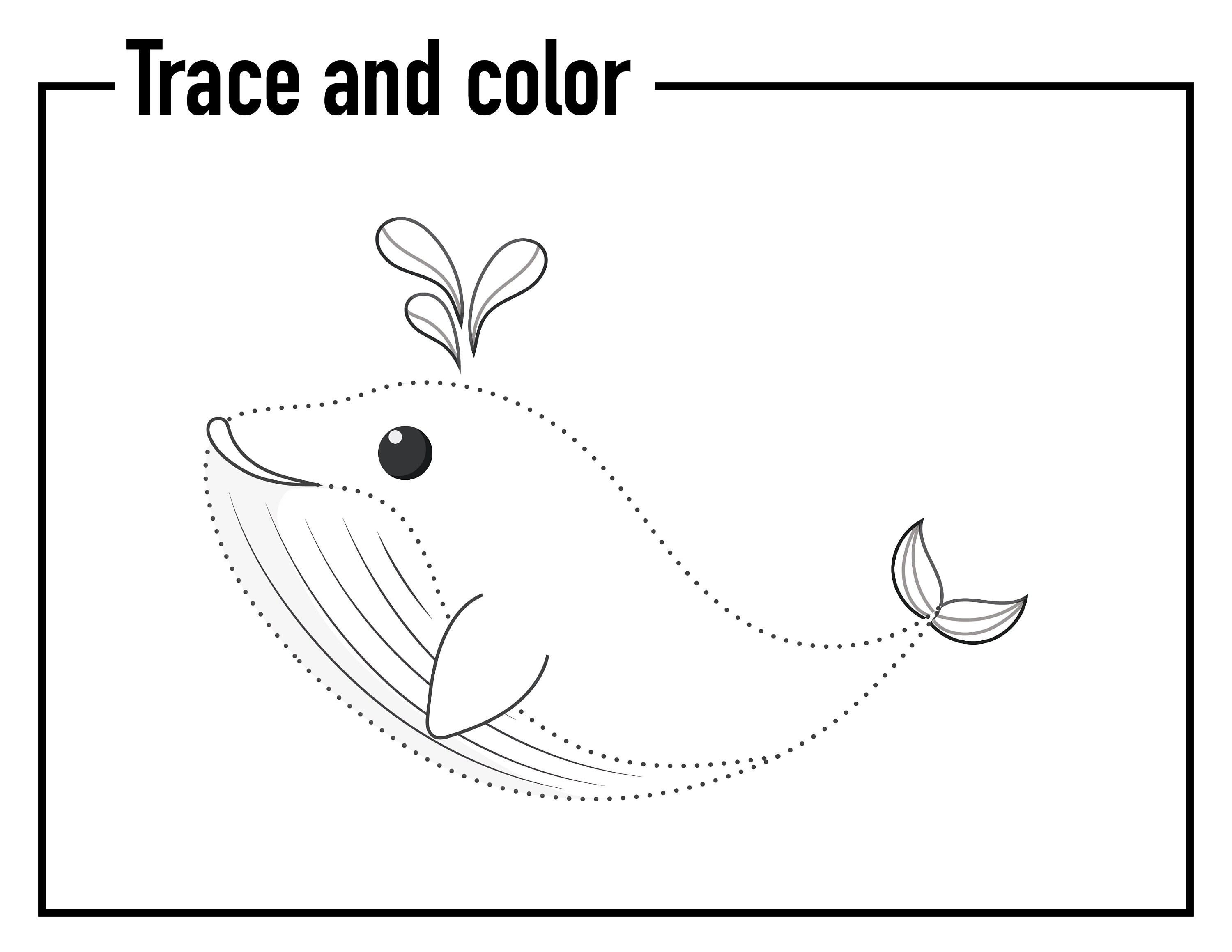 Kids Tracing and Coloring Pages Kids Coloring Book 3 - Etsy