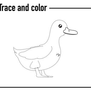 Kids Tracing and Coloring Pages | Kids Coloring Book (3+) | Animals ...
