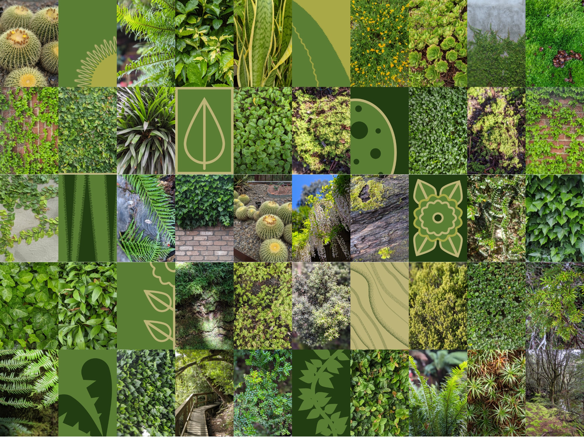 Plant Life Photo Wall Collage Kit Nature Wall Collage Kit - Etsy España