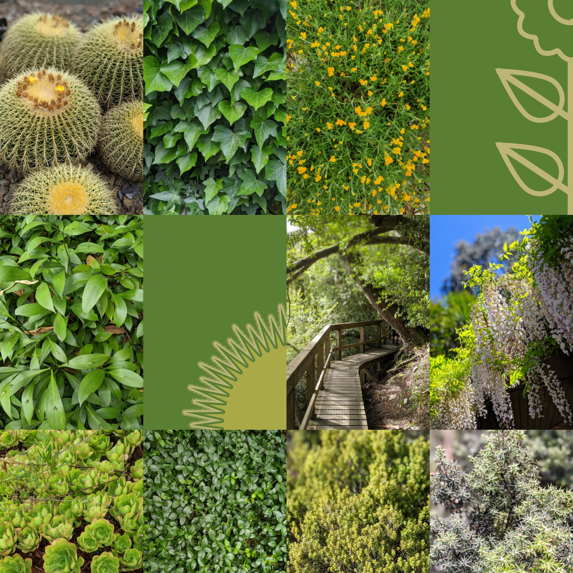 Plant Life Photo Wall Collage Kit Nature Wall Collage Kit - Etsy España