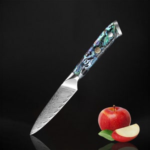 Damascus Steel Paring Knife With Real Abalone Shell Handle 67-layer ...