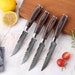 67-layer Damascus Steel Kitchen Knife Set 7-piece Japanese Chef Knife ...
