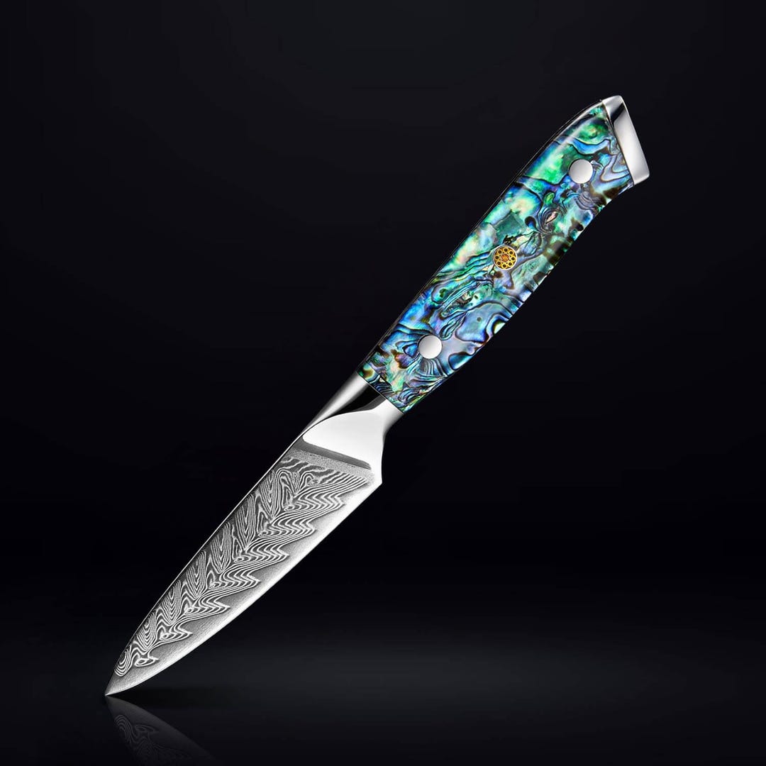 Damascus Steel Paring Knife With Real Abalone Shell Handle - 67-layer ...