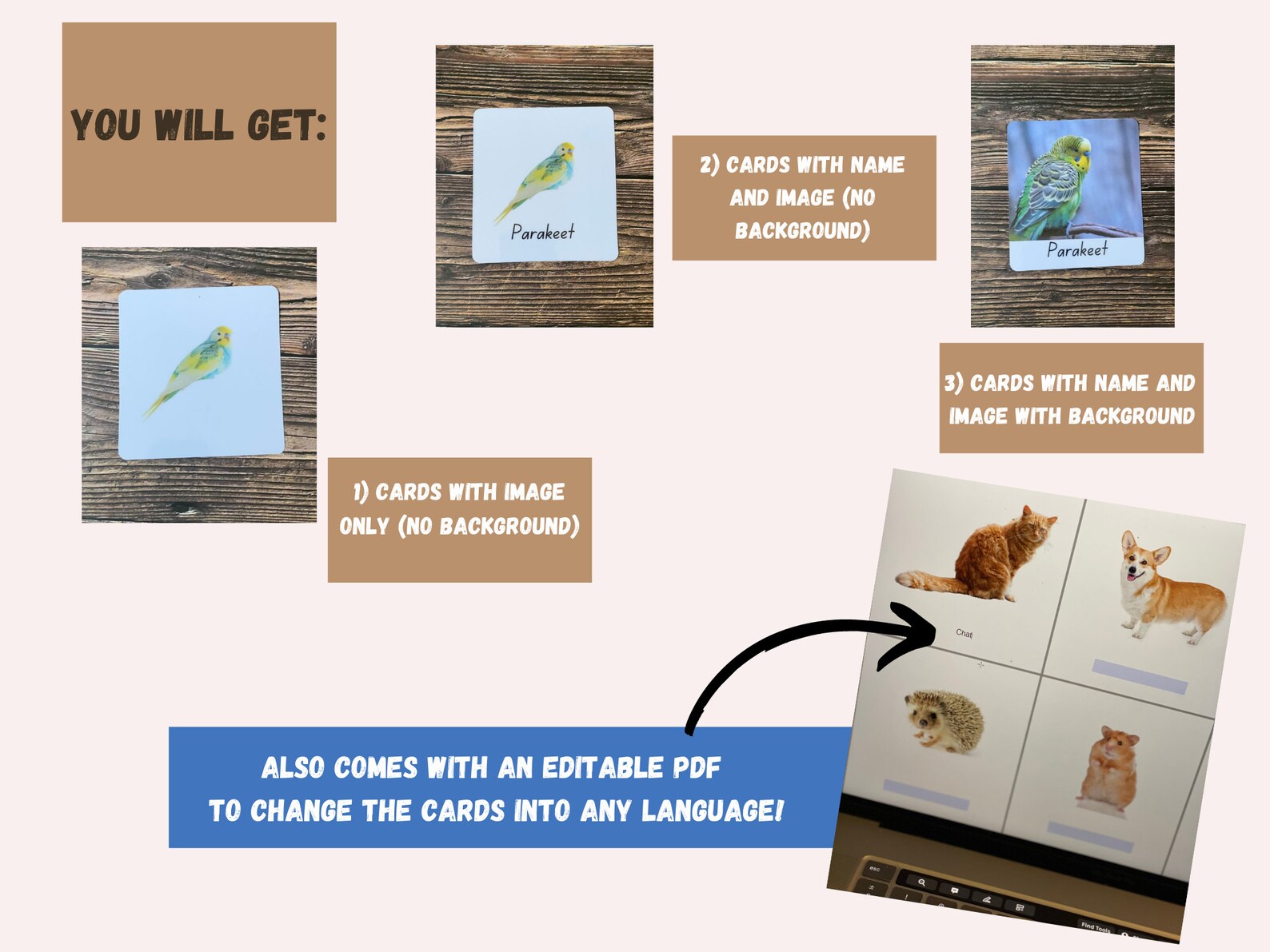 Backyard Birds Safari Ltd Compatible Language Cards Printable ...