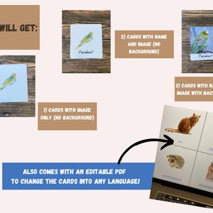 Backyard Birds Safari Ltd Compatible Language Cards Printable ...