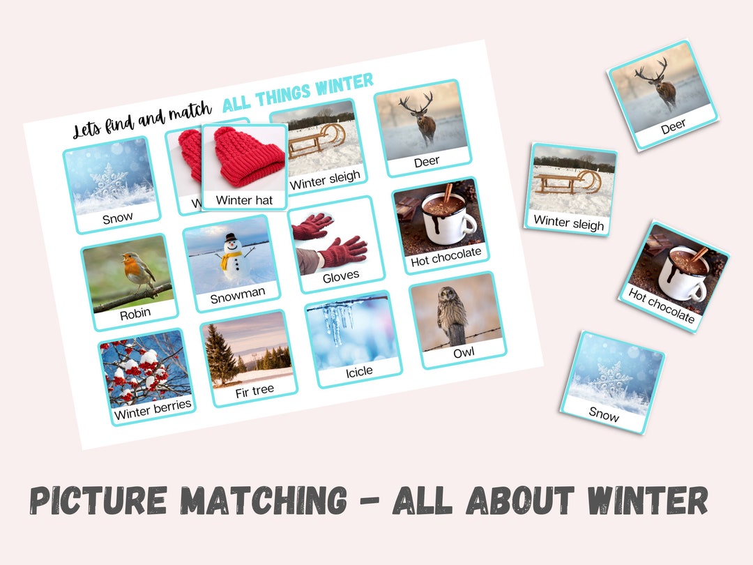 Picture Matching Activity All Things Winter. Montessori - Etsy UK