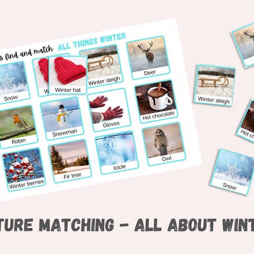 WINTER Shadow Matching Cards Montessori Printable - Etsy