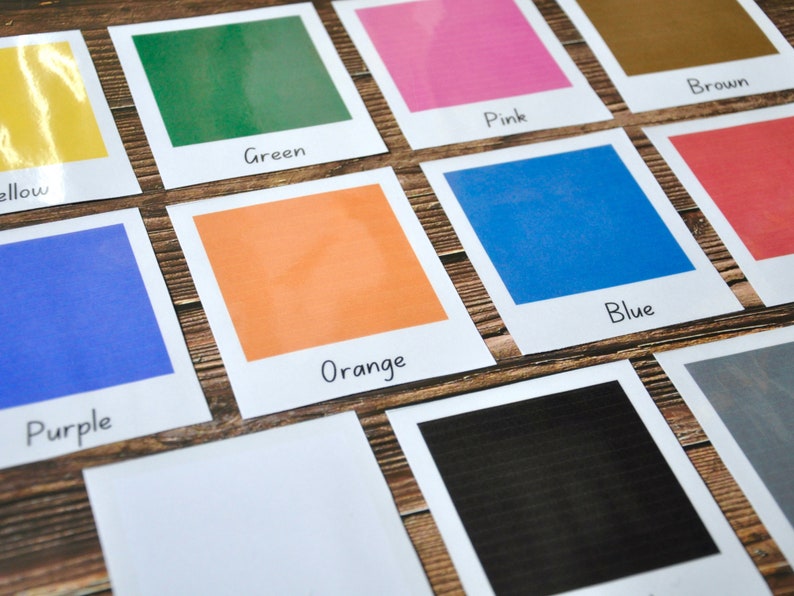 Snapshot Colour Matching Cards Printable Montessori - Etsy