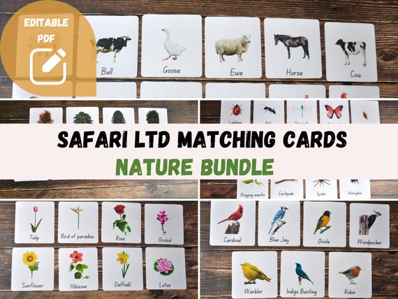 Safari Ltd Matching Cards Nature Bundle Printable Montessori - Etsy