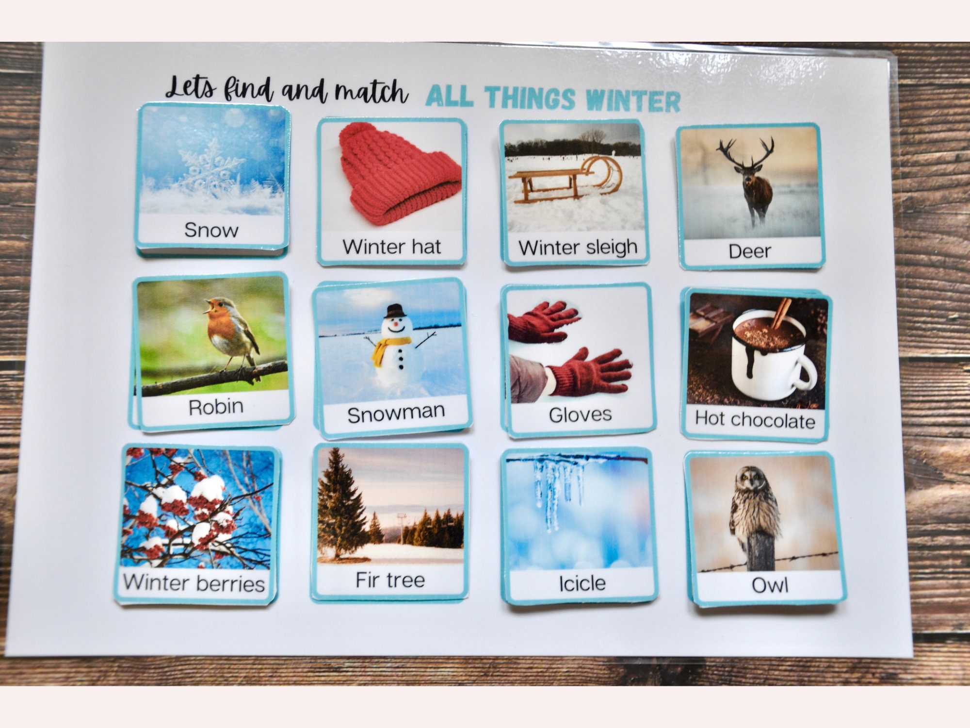 Picture Matching Activity All Things Winter. Montessori - Etsy UK