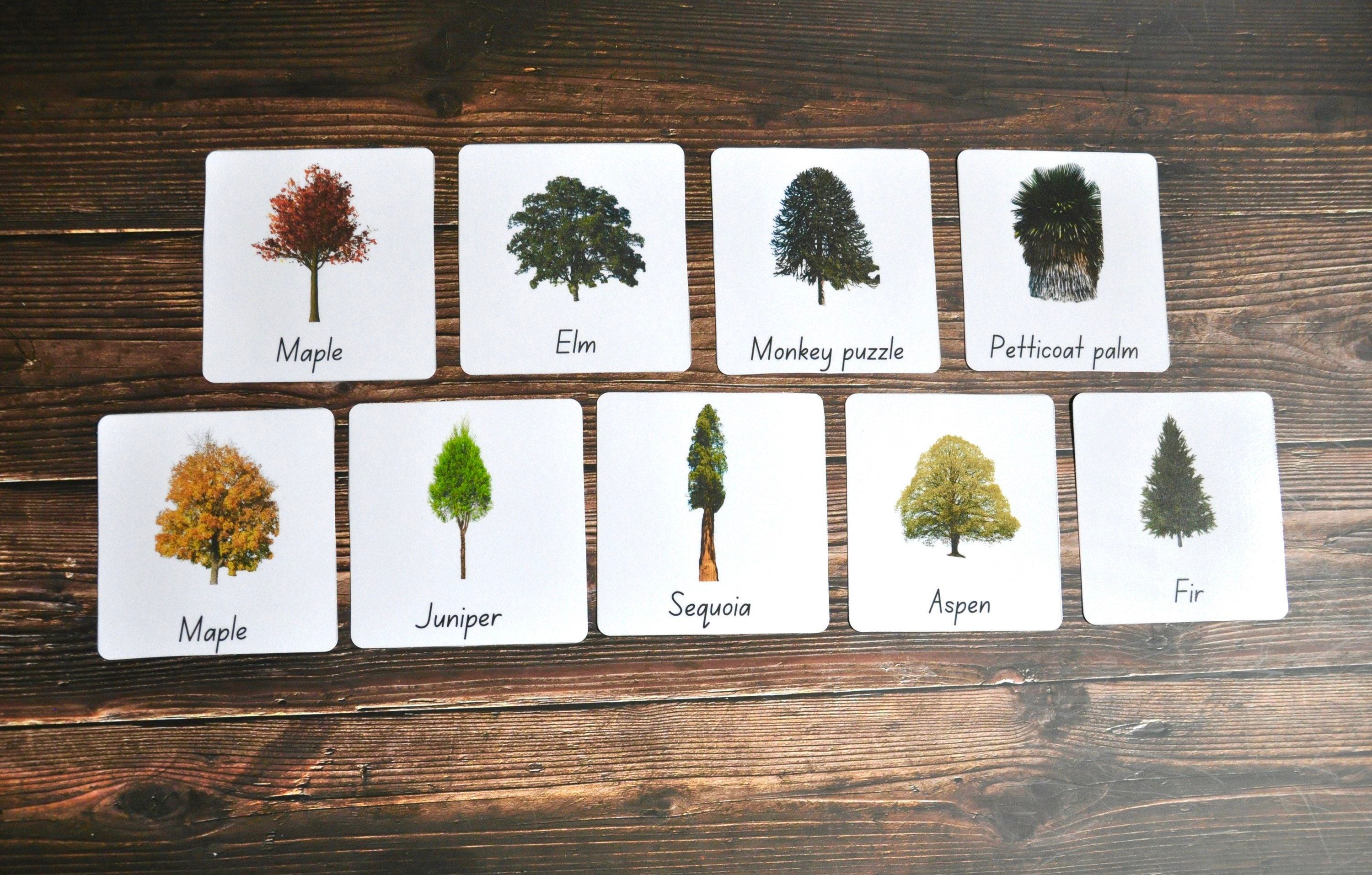 Safari Ltd Matching Cards Nature Bundle Printable Montessori - Etsy