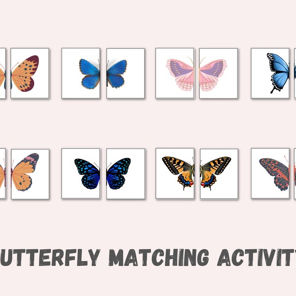 Butterfly Matching Printable - Etsy