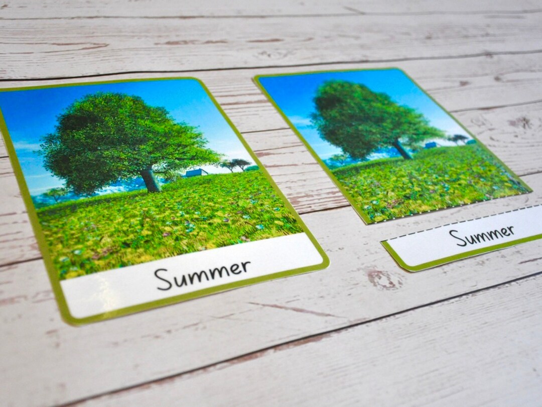 Seasons 3 Part Cards Montessori Printable - Etsy