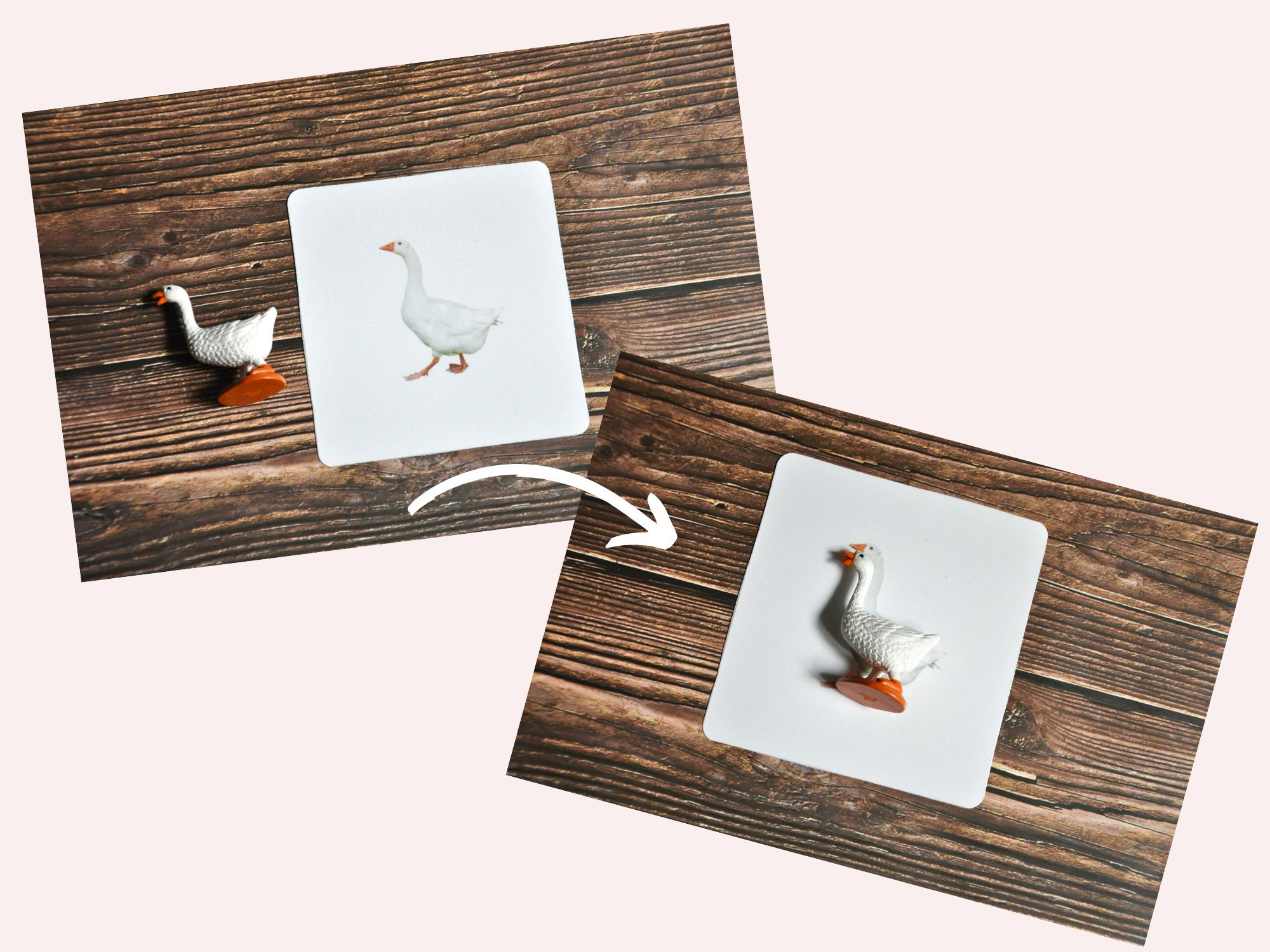 Safari Ltd Matching Cards Nature Bundle Printable Montessori - Etsy