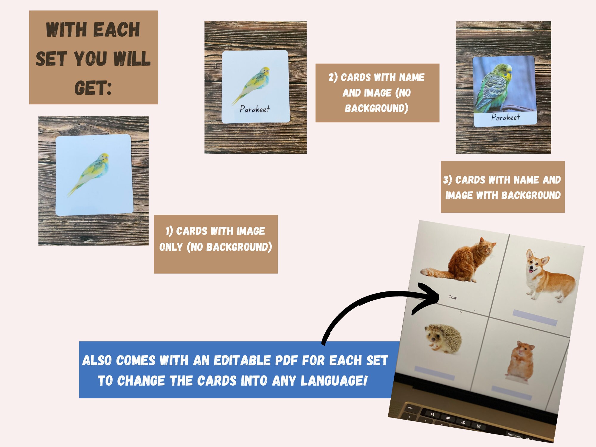 Safari Ltd Matching Cards Nature Bundle Printable Montessori - Etsy