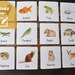 Backyard Birds Safari Ltd Compatible Language Cards Printable ...