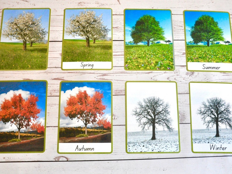 Seasons 3 Part Cards Montessori Printable - Etsy