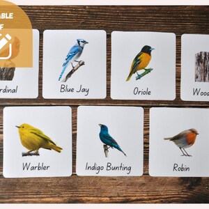 Backyard Birds Safari Ltd Compatible Language Cards Printable ...