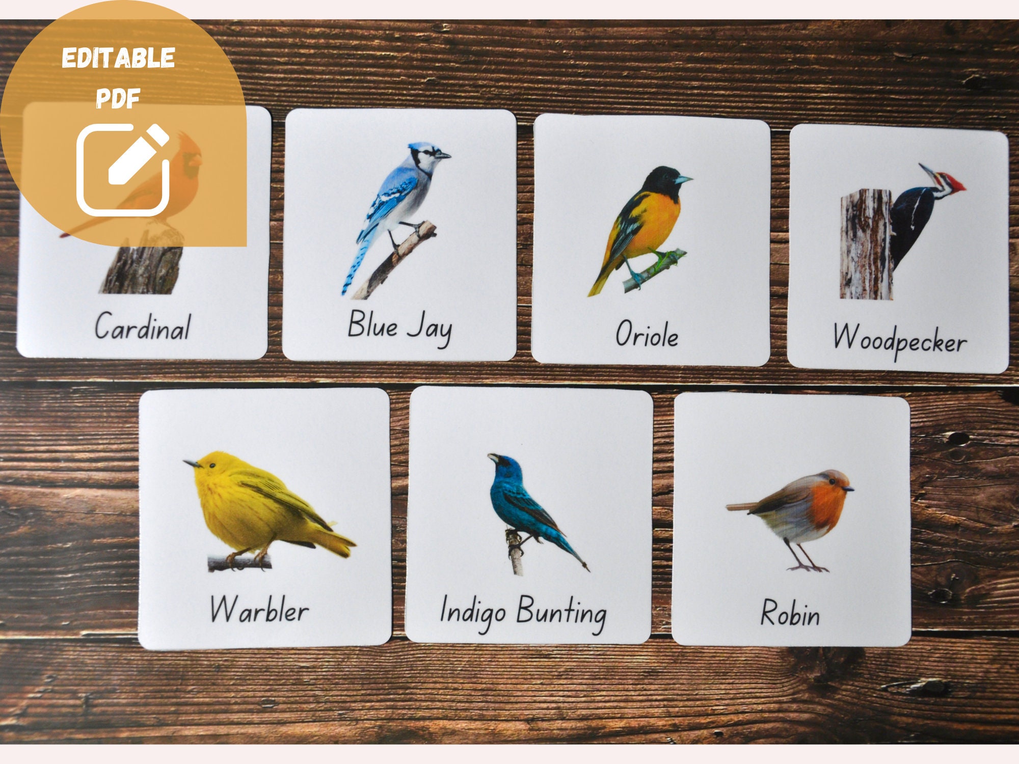 Backyard Birds Safari Ltd Compatible Language Cards Printable ...
