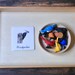 Backyard Birds Safari Ltd Compatible Language Cards Printable ...