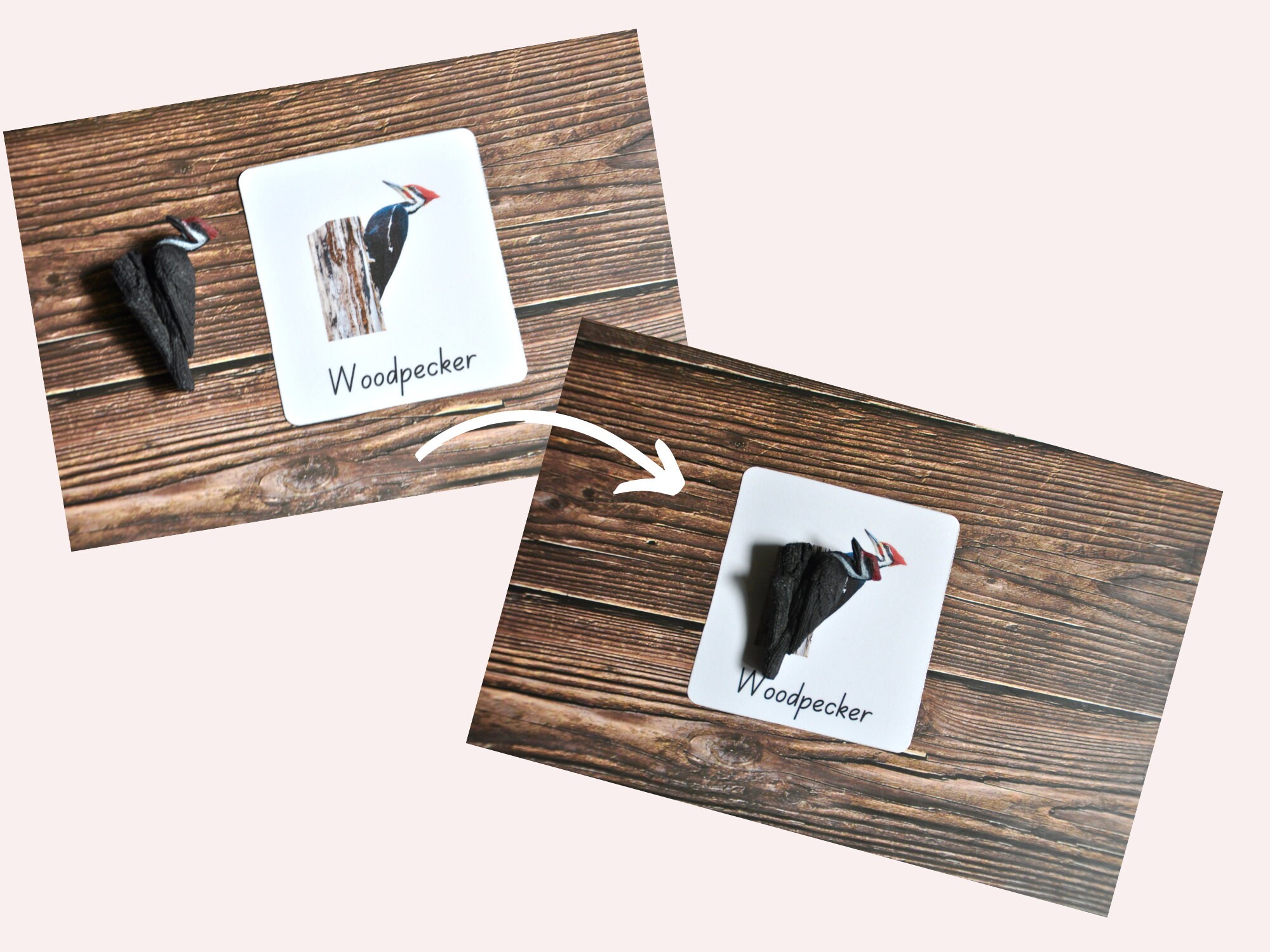 Backyard Birds Safari Ltd Compatible Language Cards Printable ...