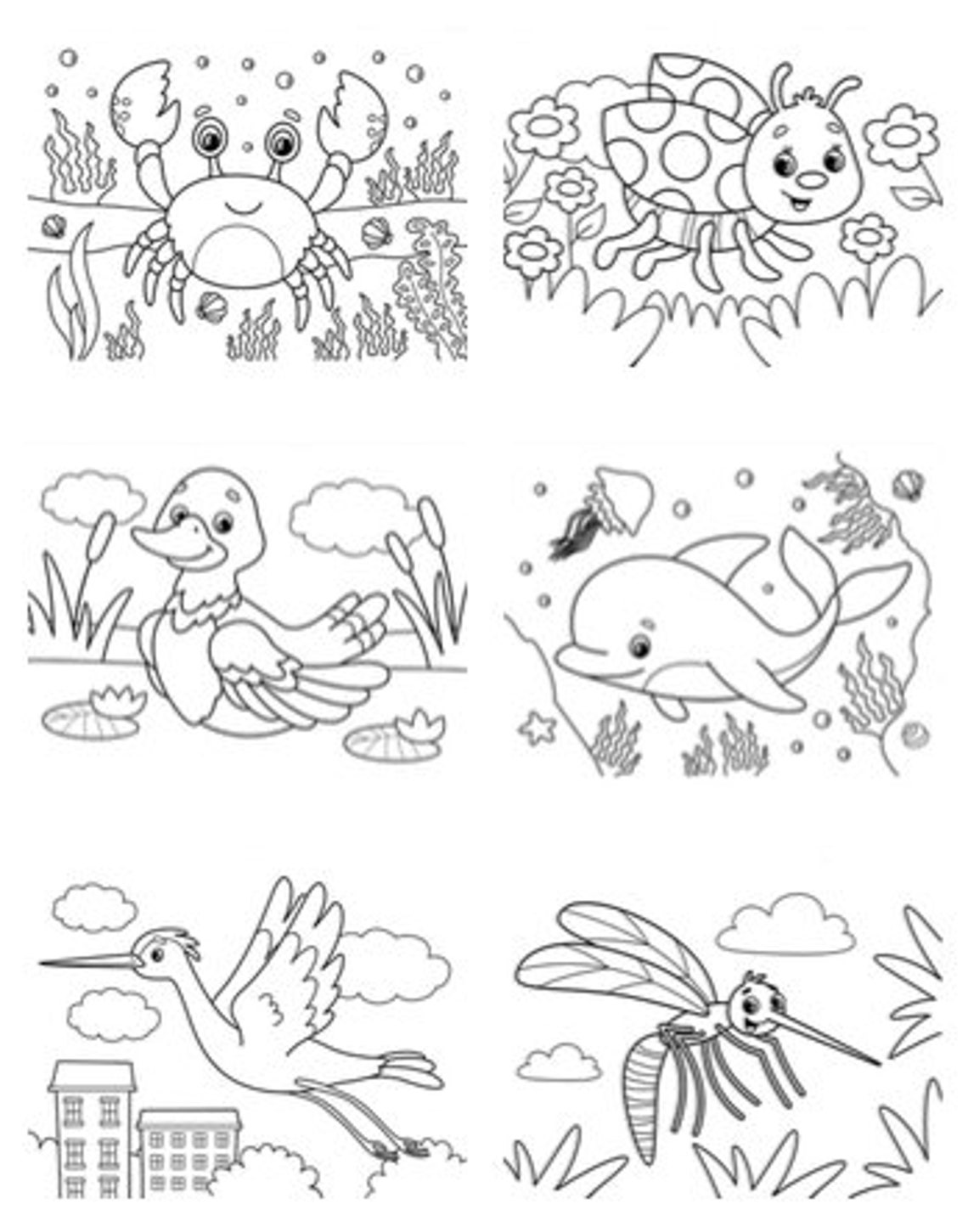 Coloring Pages, Animals, Party Games, Homeschool Printable - Etsy