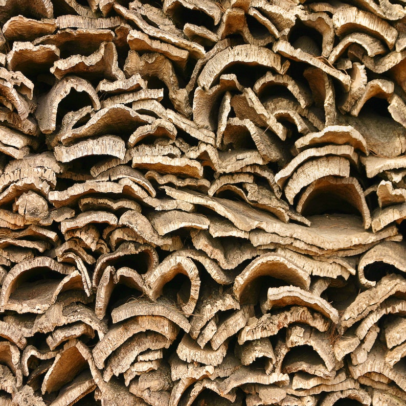 Bulk Cork Bark Flats - Terrarium Orchids - Air Plants - Reptile Animal ...