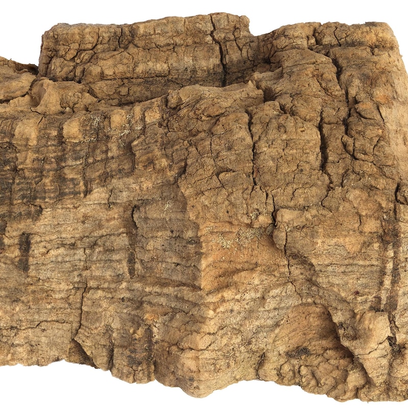 Snake Background Terrarium - Etsy