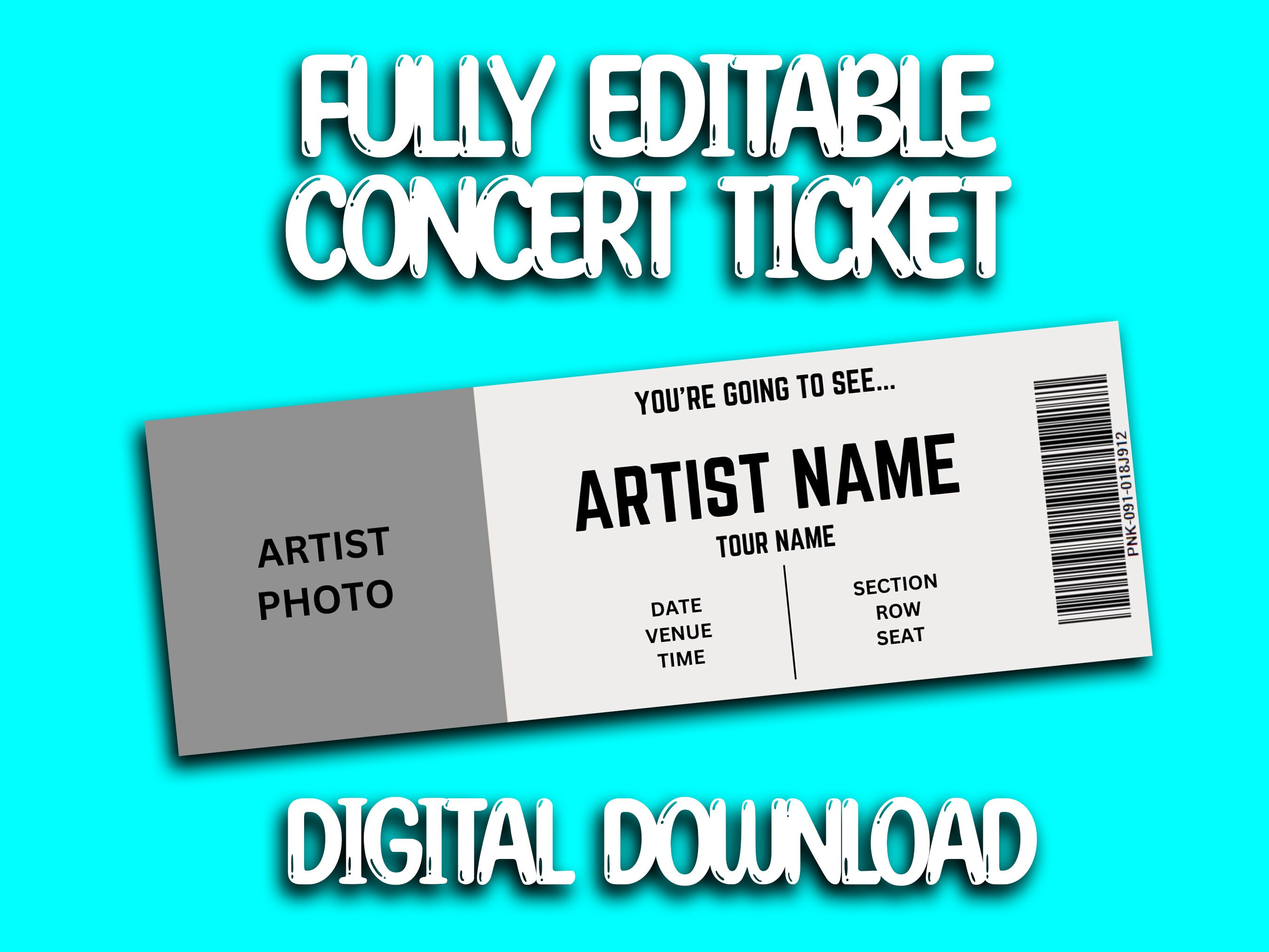 Blank Concert Ticket