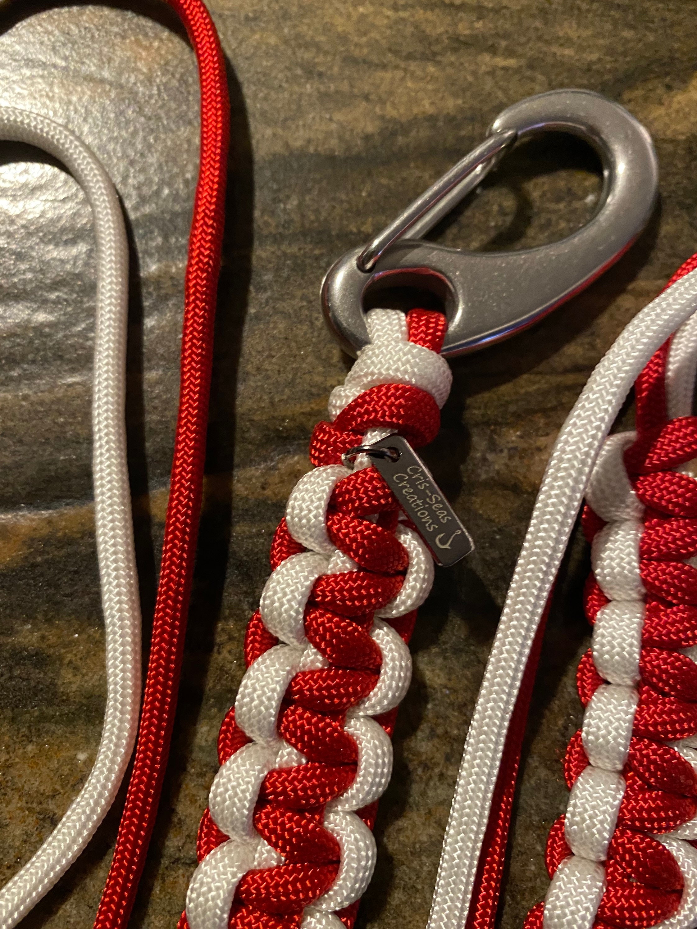 Reel Leash 6 Foot - Etsy