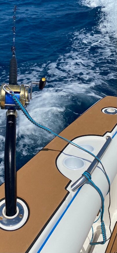 Reel Leash 6 Foot - Etsy