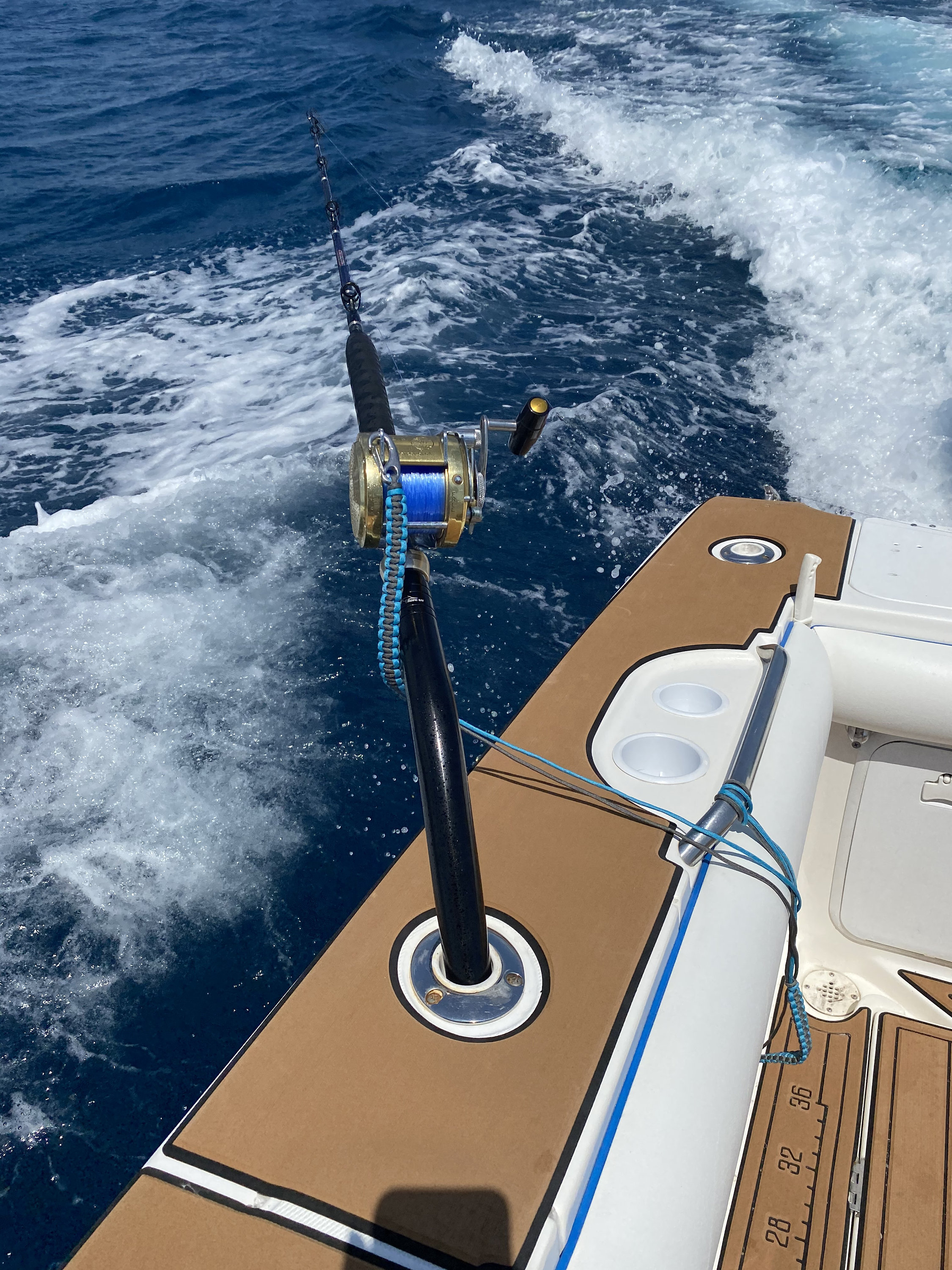 5 Foot Reel Leashes Mahi Collection (4) Leashes - Etsy