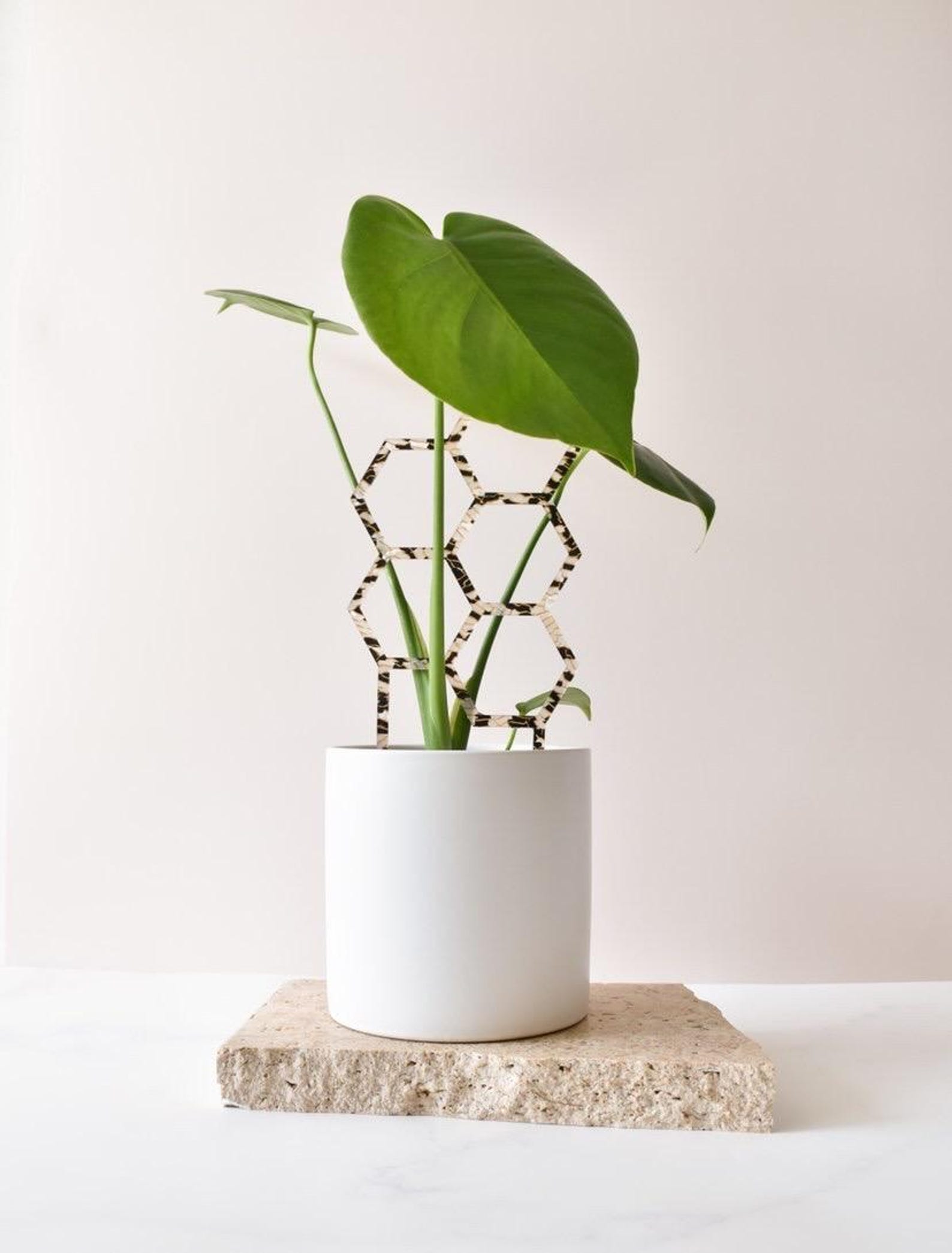 Stone Beige Photography Vinyl Backdrop | 4 Sizes Available - Etsy