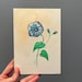 Original Watercolor Painting of September Birth Month Flower, a ...