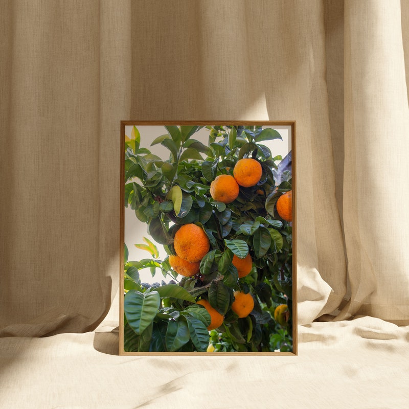 Orange Still Life - Etsy