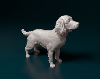 English Springer Spaniel Statue - Etsy