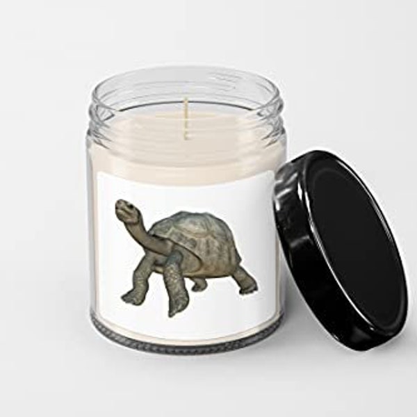 Tortoise Cozy - Etsy