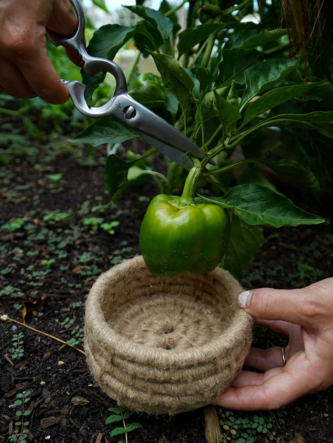Handwoven Mini Garden Basket Mini Produce Baskets Mini Baskets ...