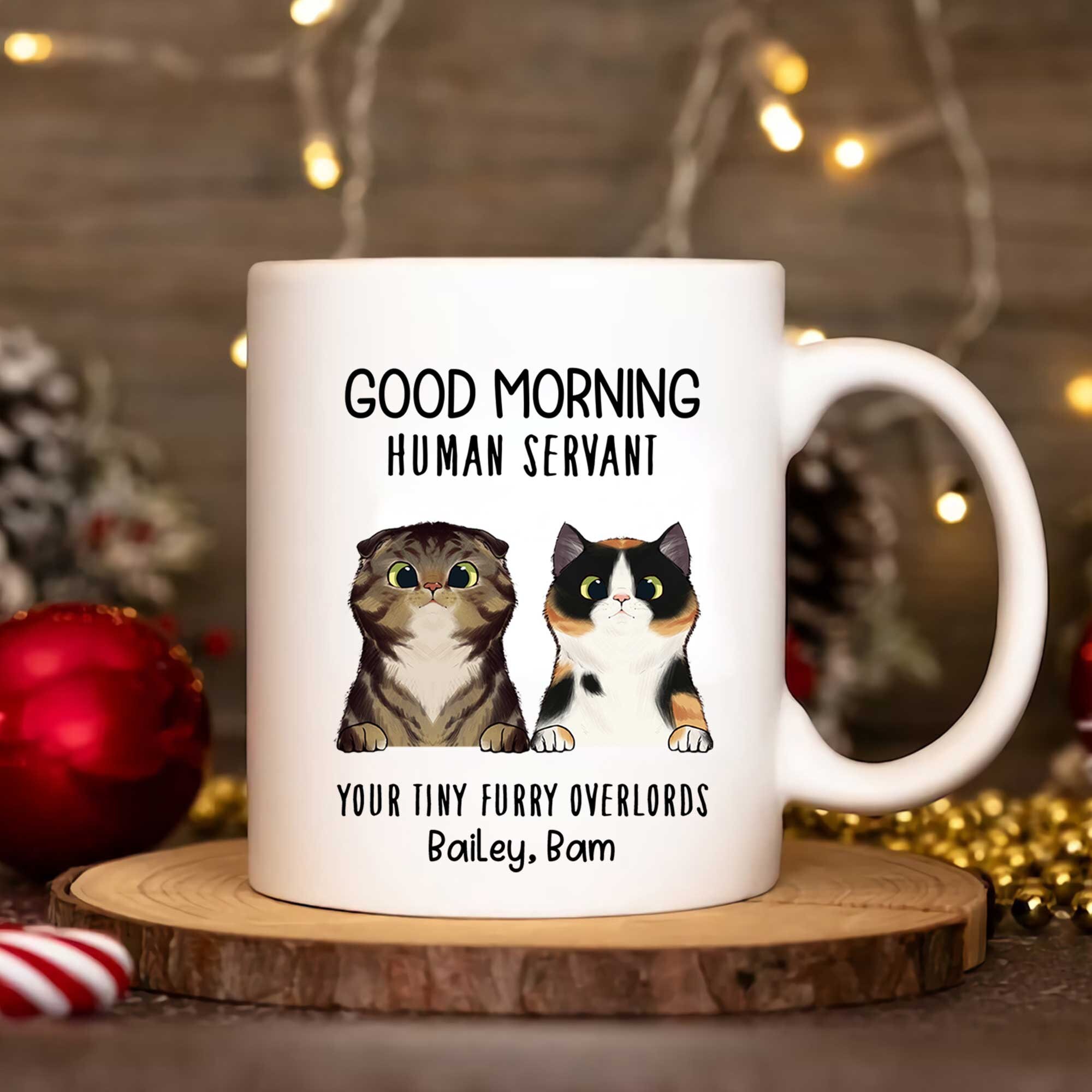 Good Morning Funny Cat